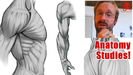 Photoshop - Anatomy Study & Sketches :: Behance