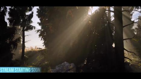 Exploring UE5 Environment Creation