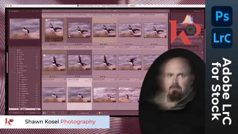 Photoshop - Stock Photos :: Behance