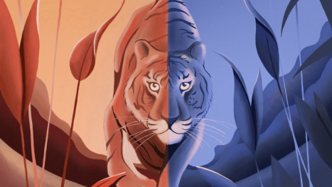 Fresco - Tiger Night & Day Illustration - Pt3