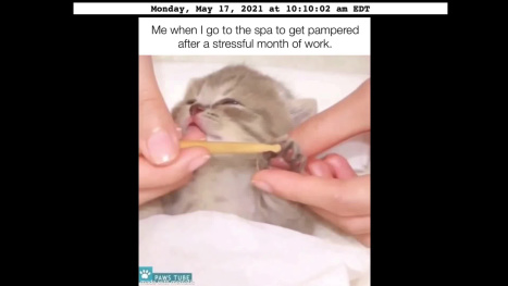 Livestreaming with Colin Chang