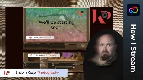 Behance::Adobe Live