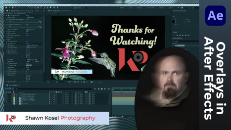 Best of Behance :: Behance