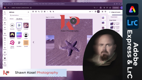 Adobe Live :: Behance